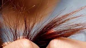 The Science of Split Ends: Why Do They Happen and How to Prevent Them ...